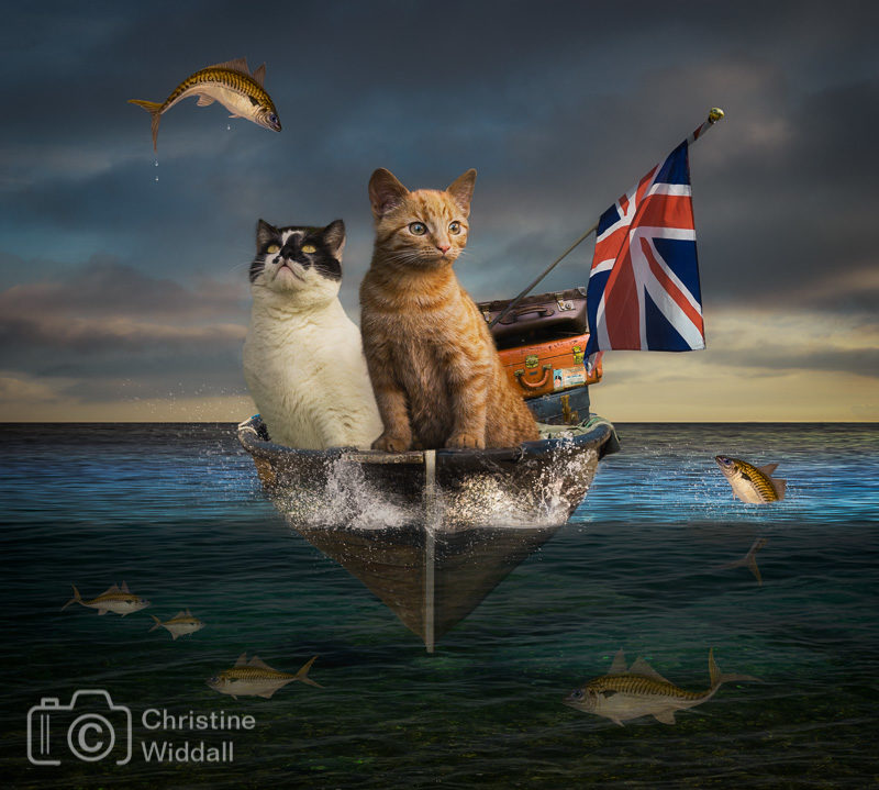 Christine Widdall - Oldham Photographic Society